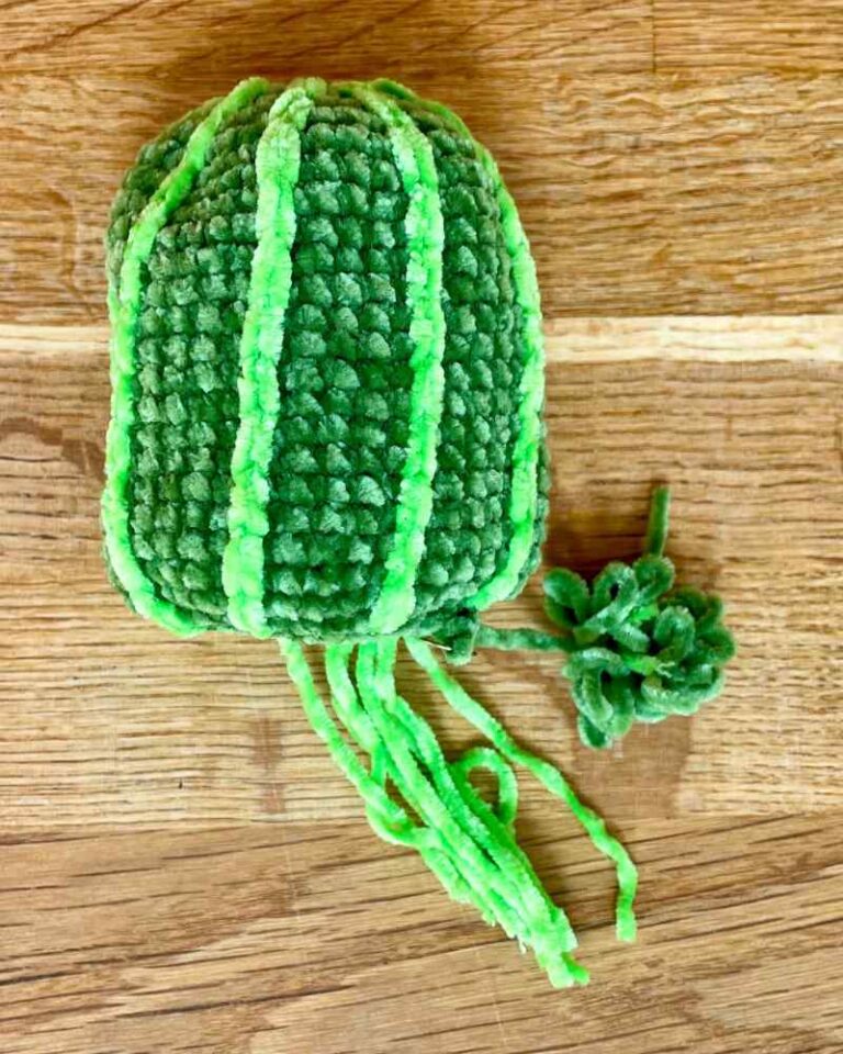 Free Squishy Crochet Cactus Pattern - Prickly Botanical Amigurumi