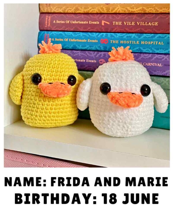 Free Squishy Crochet Chick Pattern - Easy Beginner Amigurumi